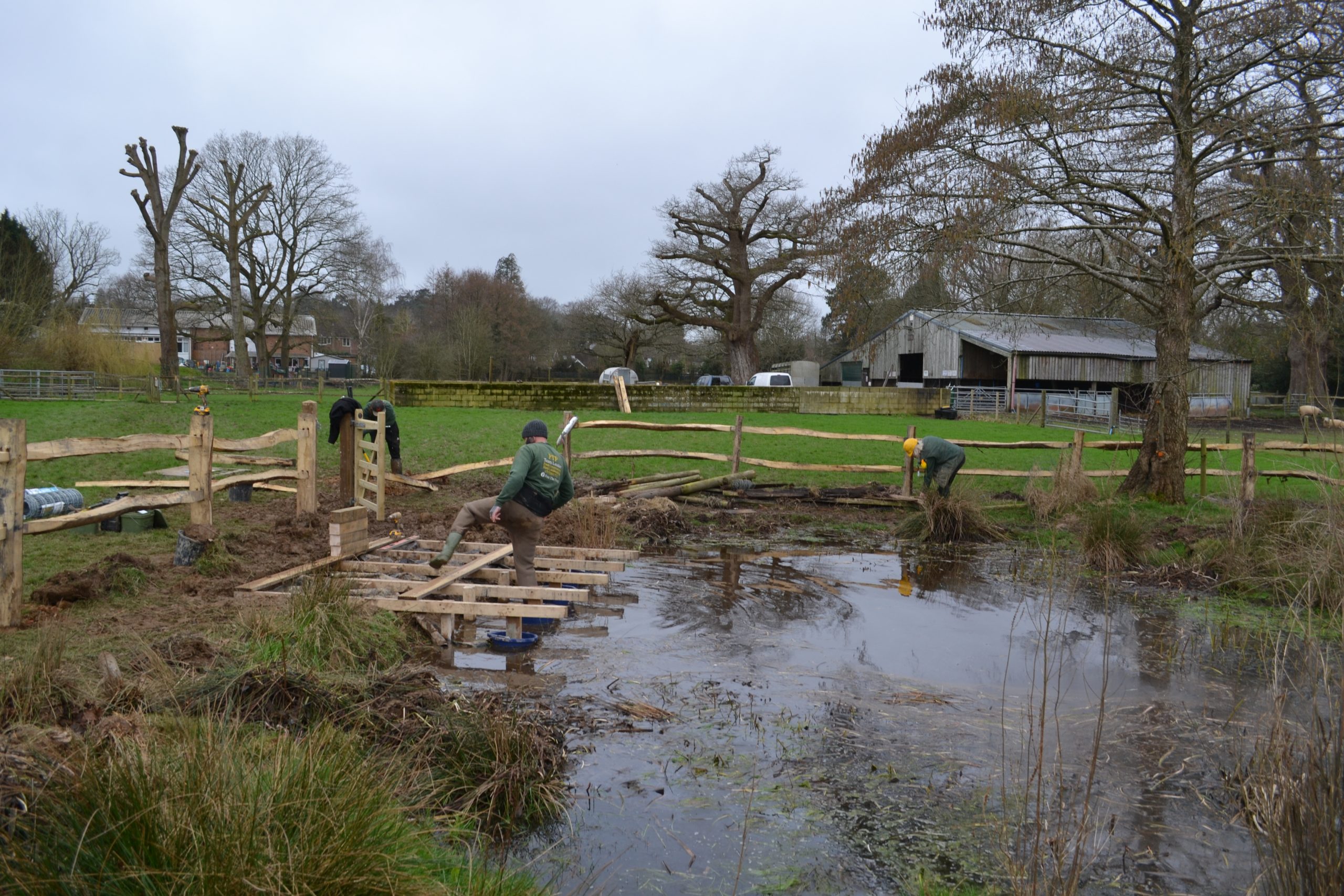 Oathall pond restoration works completed | Oathall Community College