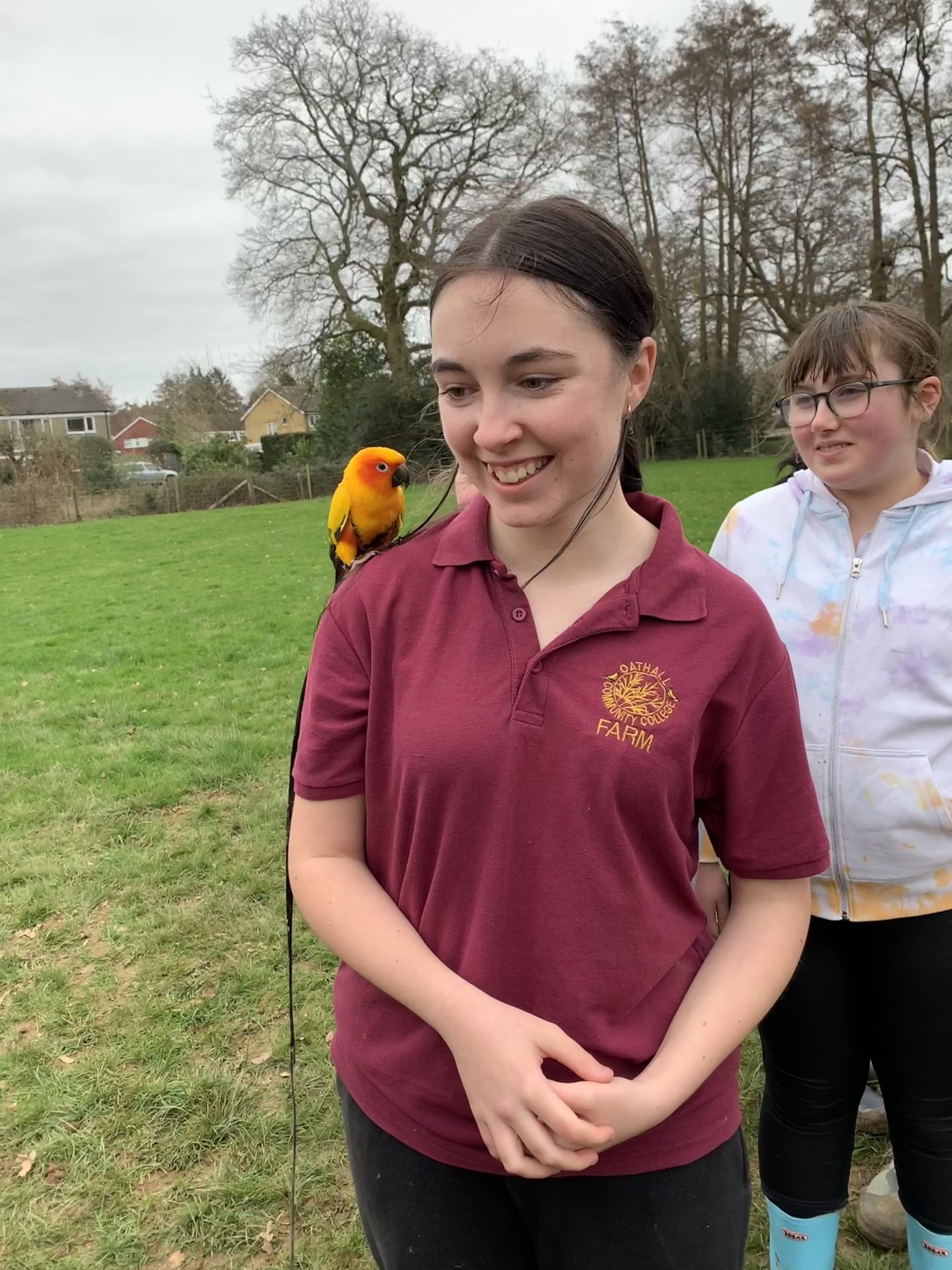 Oathall pond restoration works completed | Oathall Community College