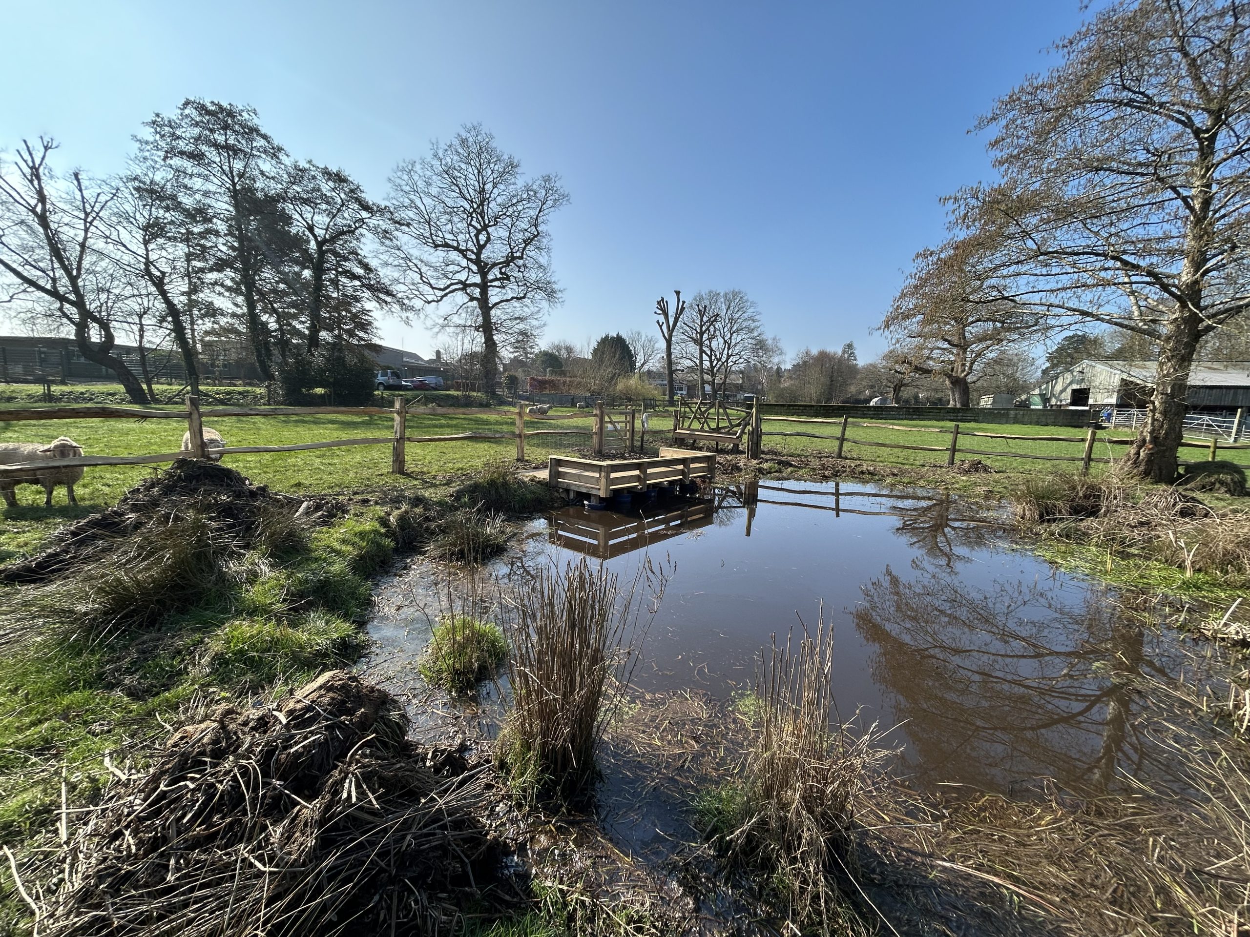 Oathall pond restoration works completed | Oathall Community College