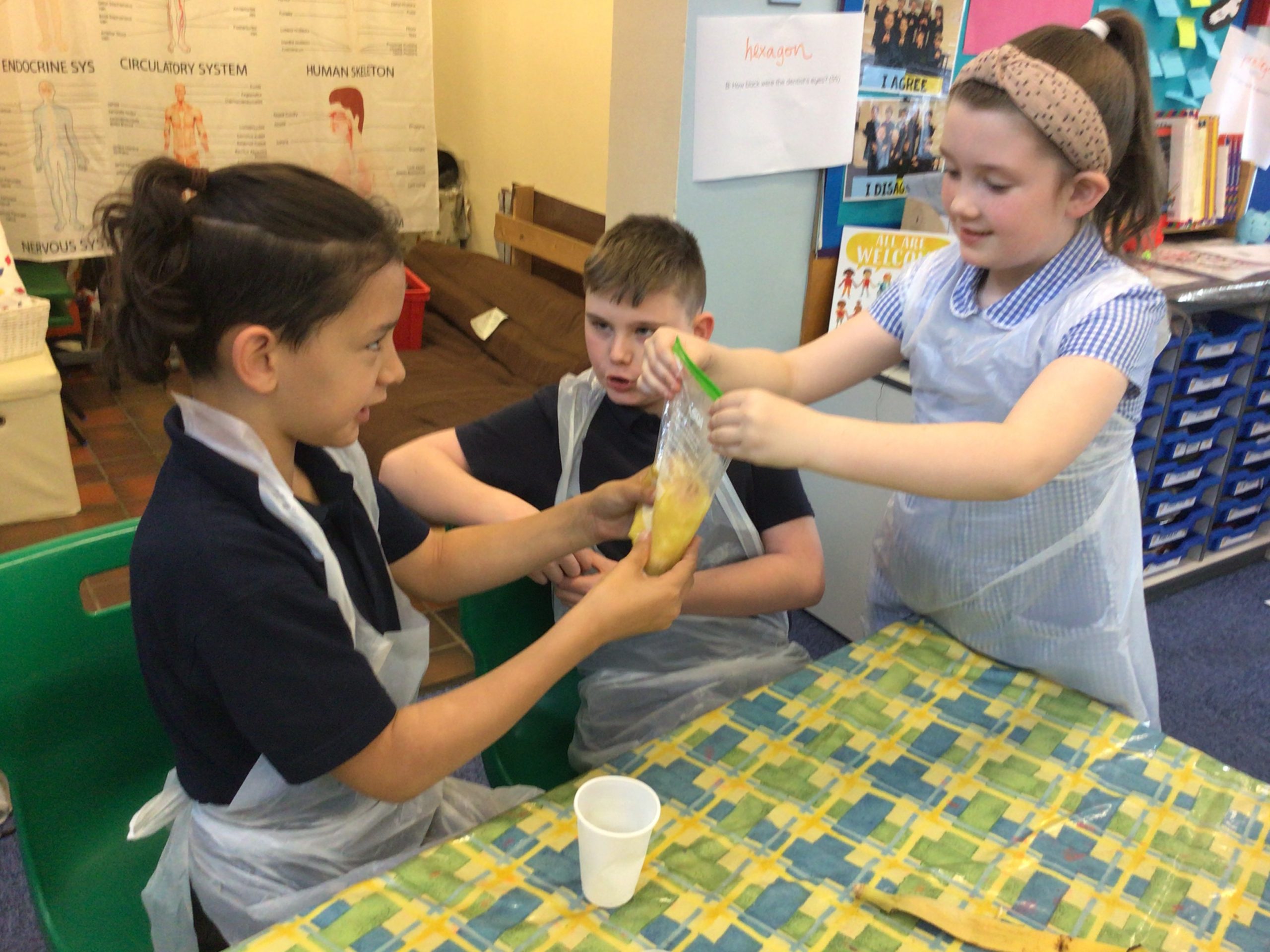 Plover School | Excite Challenge Engage Celebrate