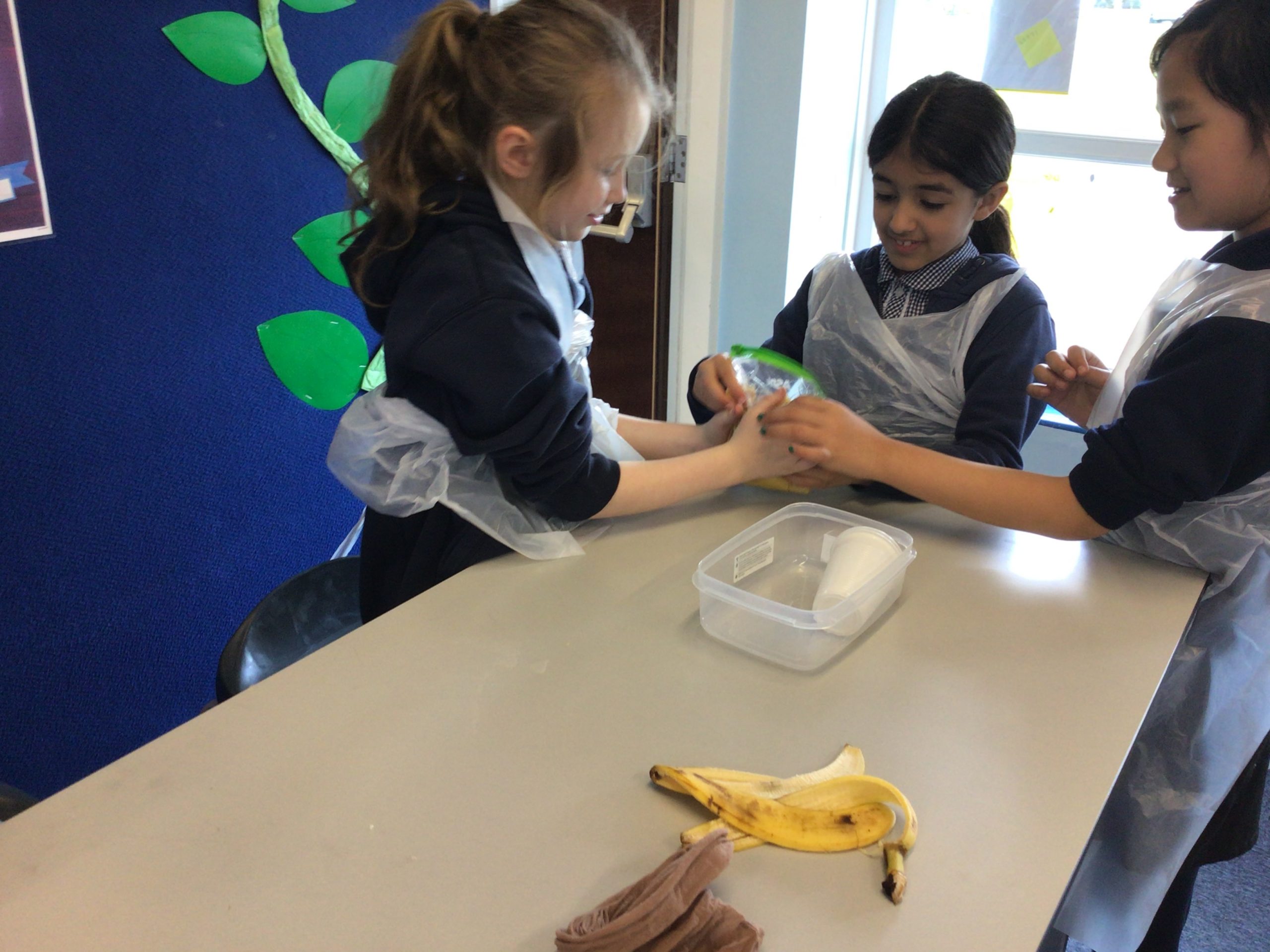 Plover School | Excite Challenge Engage Celebrate