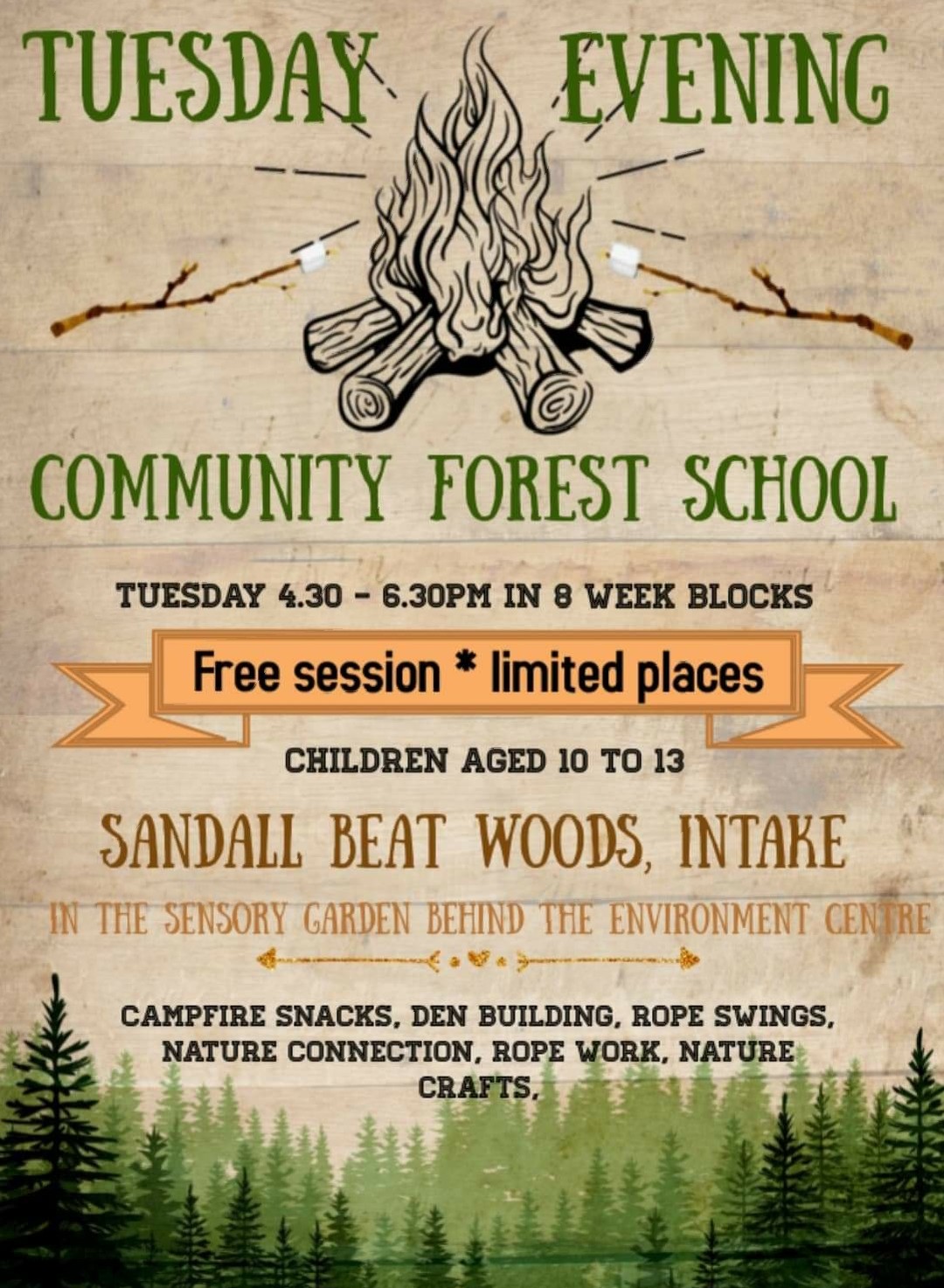 Free Forest School session | Plover School
