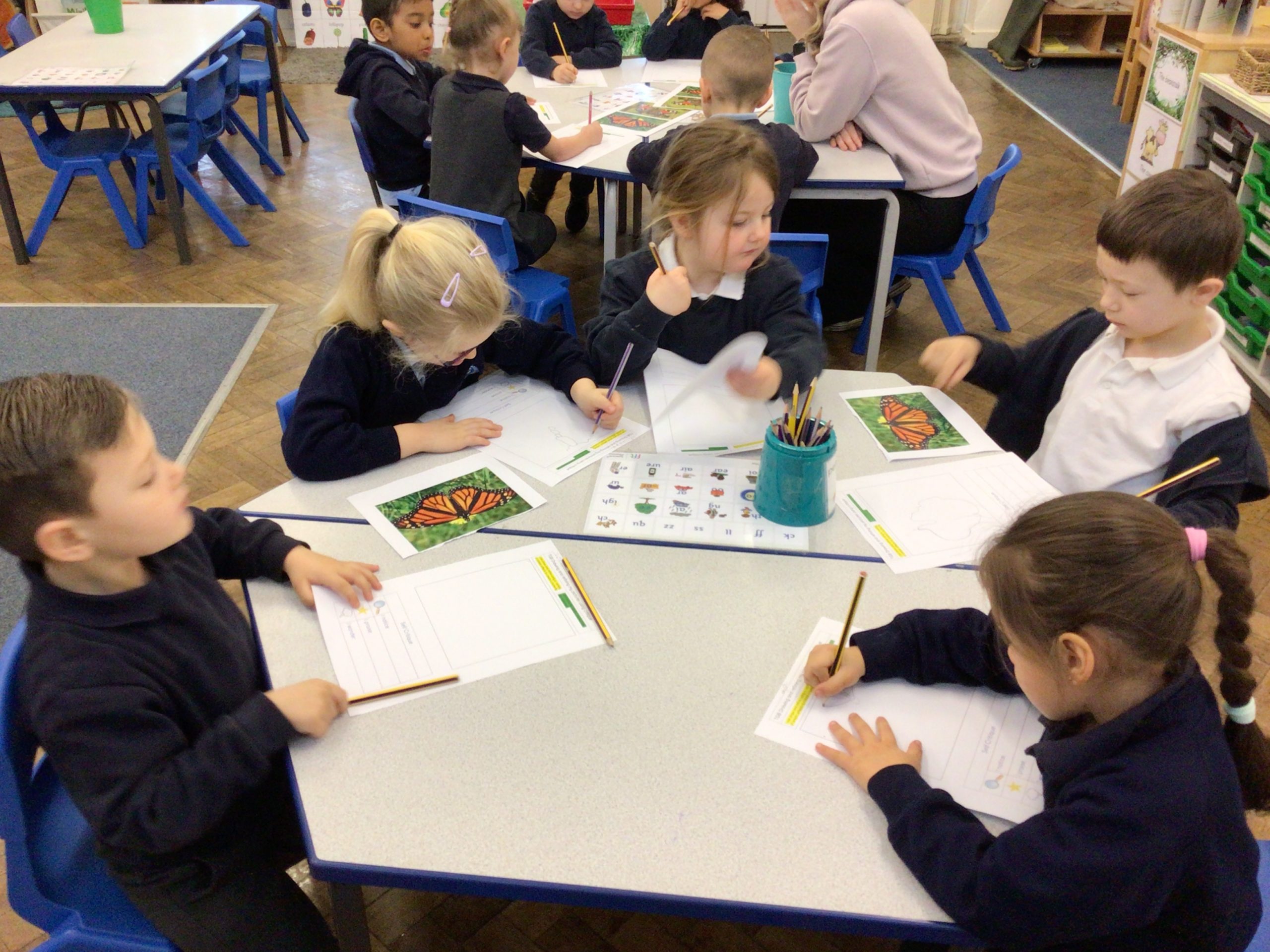 Austin’s butterfly | Plover School