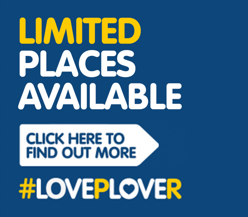 What does a chapati moon look like? | Plover School