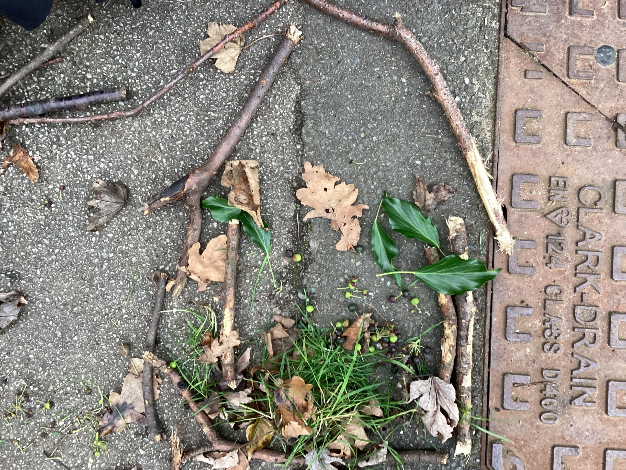 Habitat builders! | Plover School