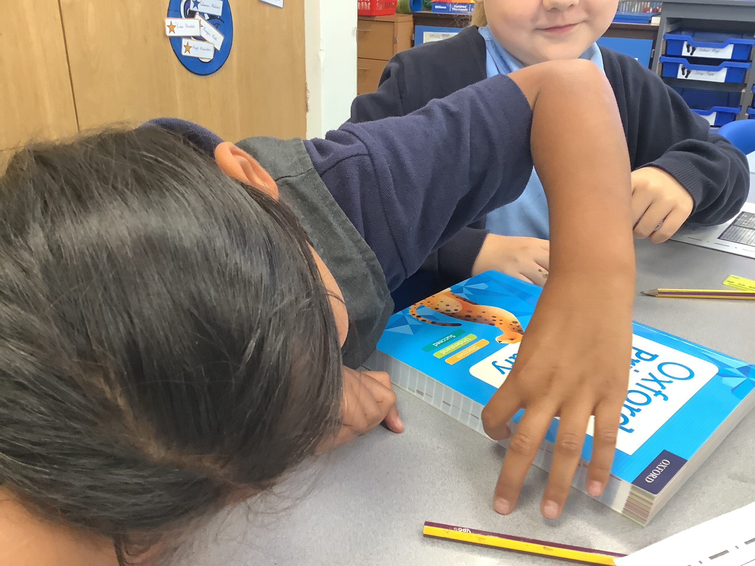 We are persevering with dictionary dilemmas! | Plover School