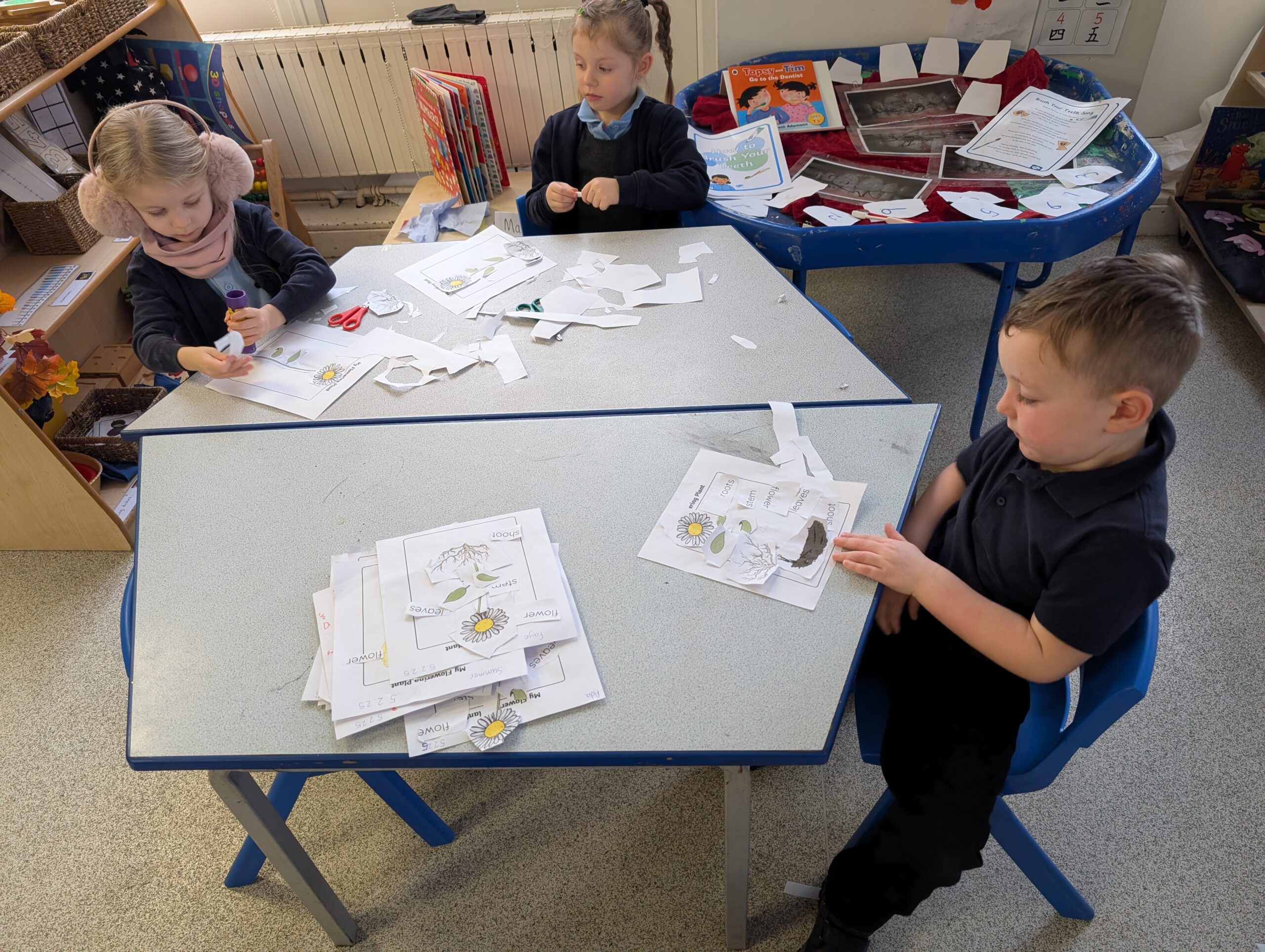 Parts of a Plant | Plover School