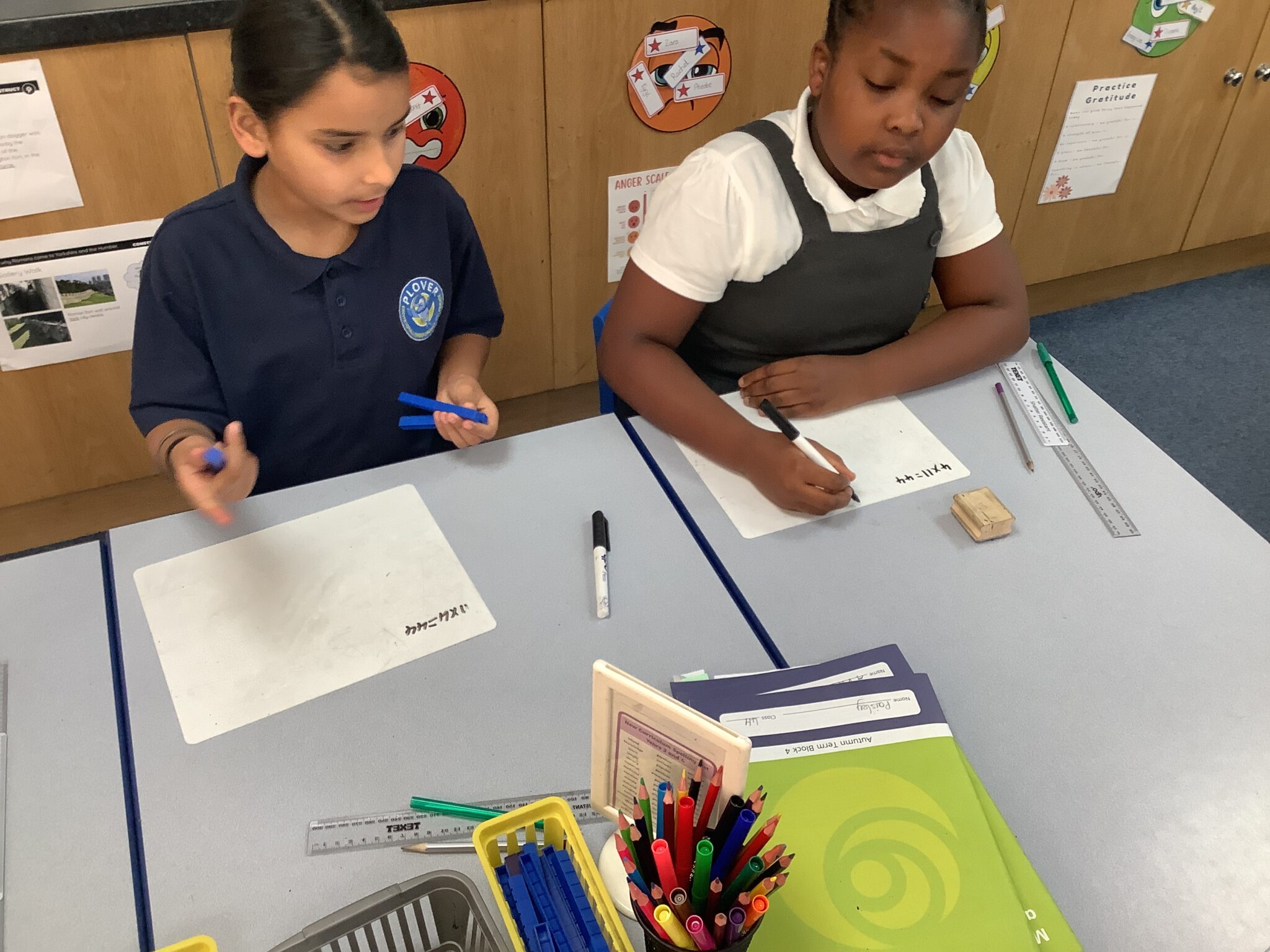 Marvellous mathematical manipulatives | Plover School