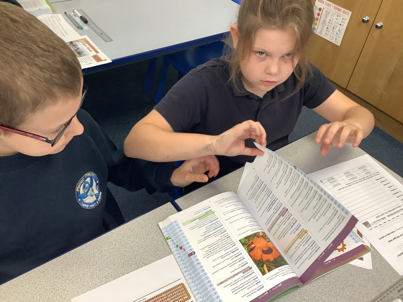 Dictionary Dash | Plover School