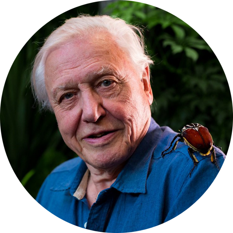 Attenborough | St Oscar Romero