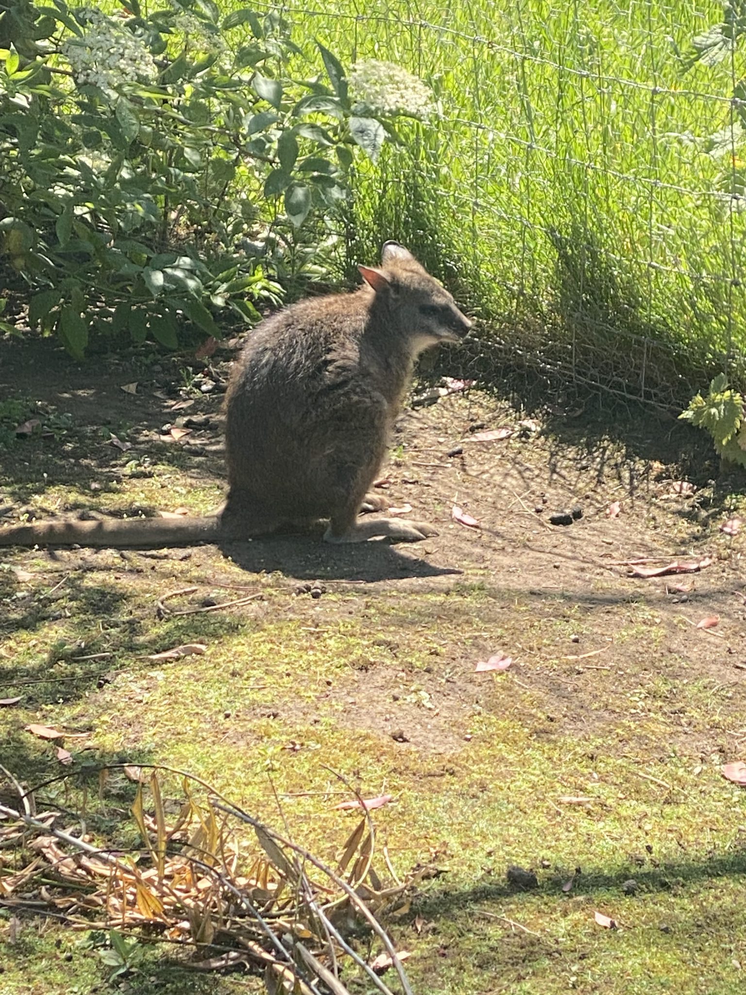 Year 1 visit to Kirkley Hall | West Boldon Primary School