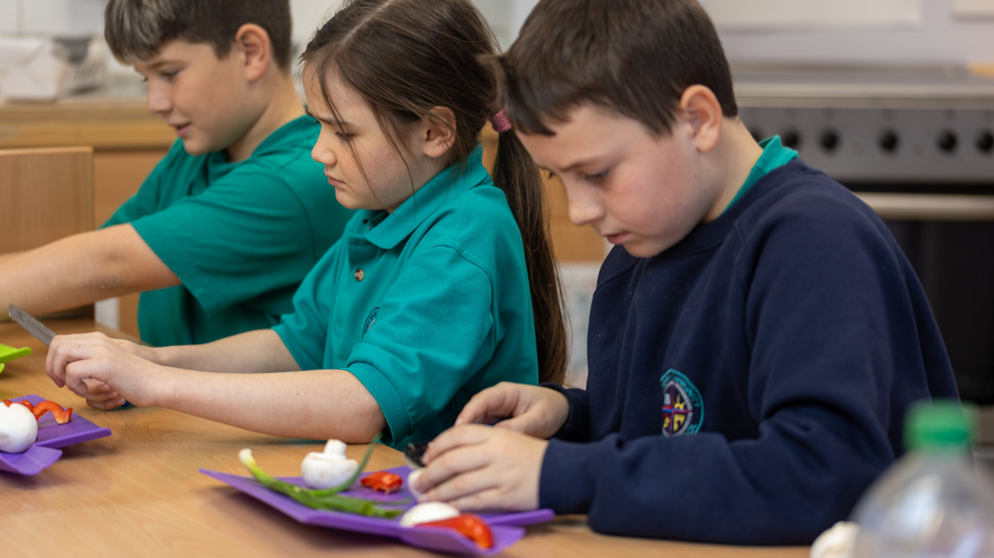 School Gallery – Western Community Primary School