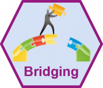 Bridging Units | Whickham School